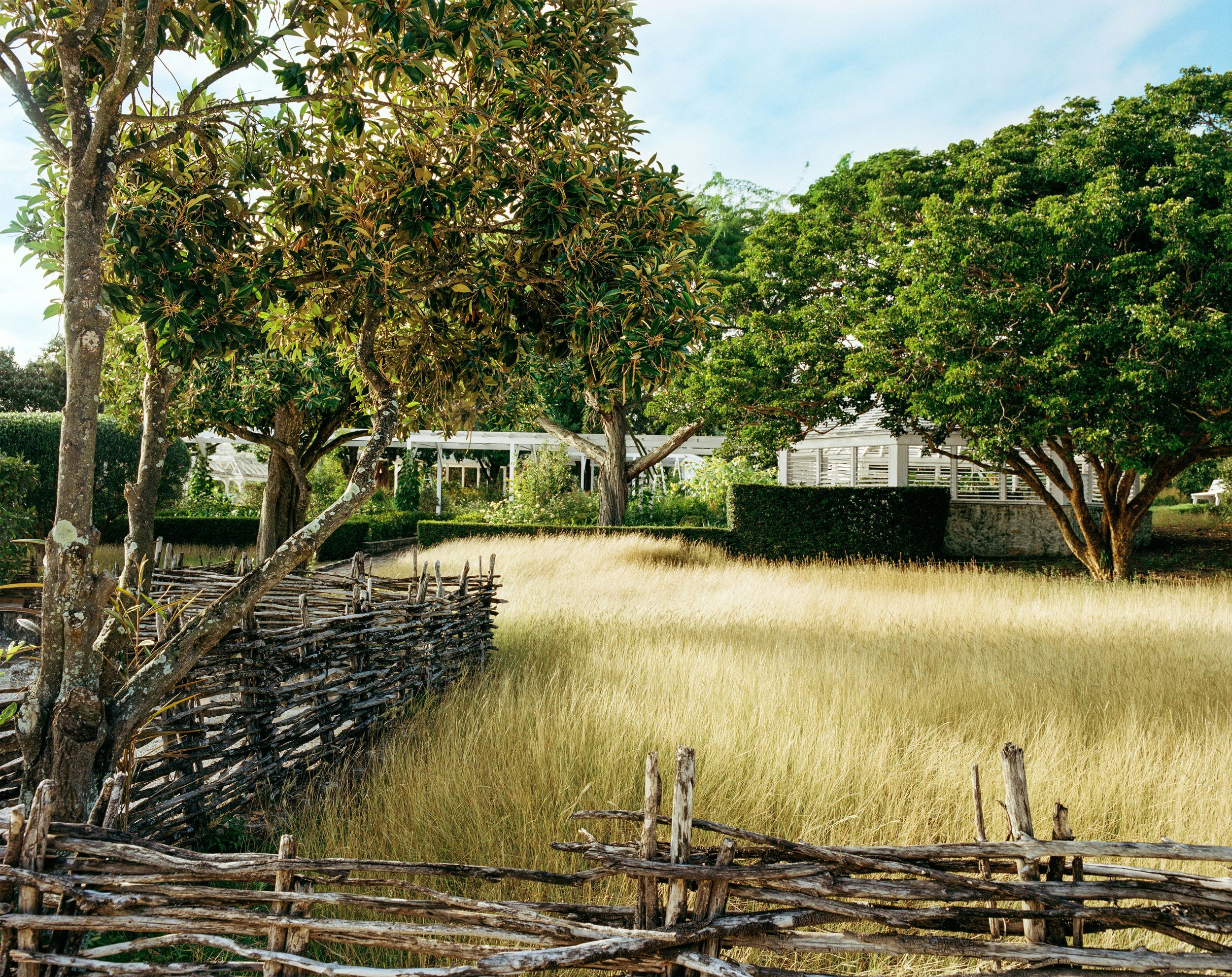 Miranda Brooks Landscape Design